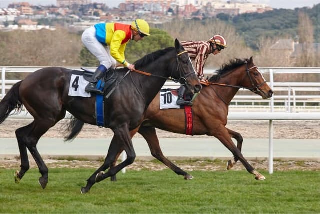 2025 Betfred Oaks: Ten-Year Trends and Betting Tips | Paddock Punter