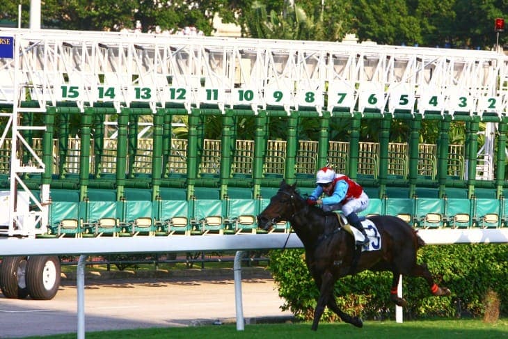 Horse Racing Hurdles Guide - Paddock Punter | Paddock Punter