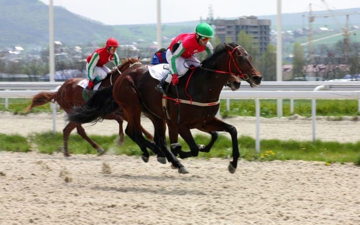 How Long is a Horse Race? - Paddock Punter | Paddock Punter