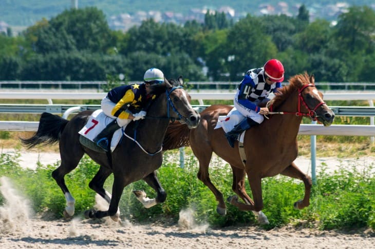 What Does Each Way Mean in Horse Racing - Paddock Punter